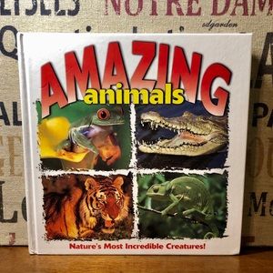 Other | Childrens Animal Hardcover Books Set Of 4 | Poshmark